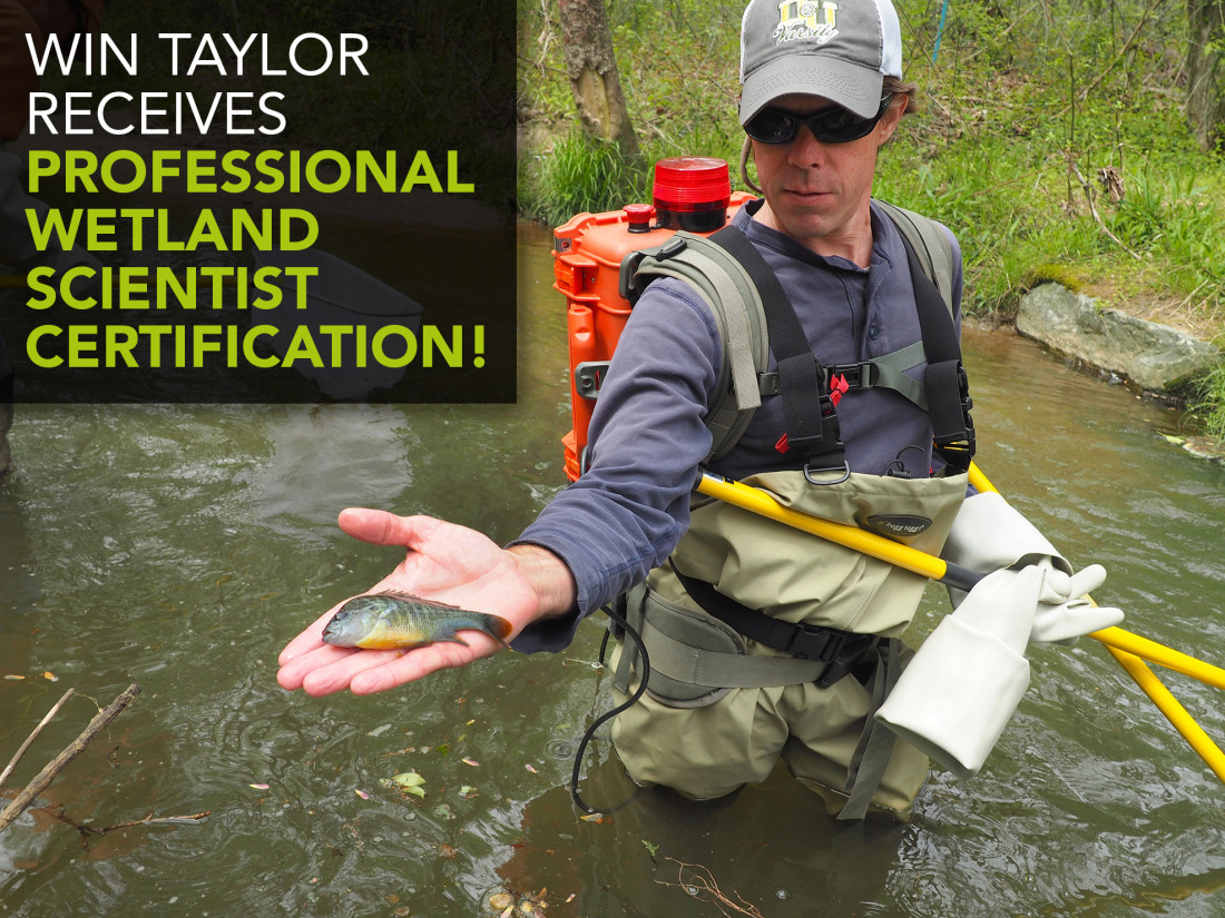 Wildlands Engineering | Professional Wetland Scientist