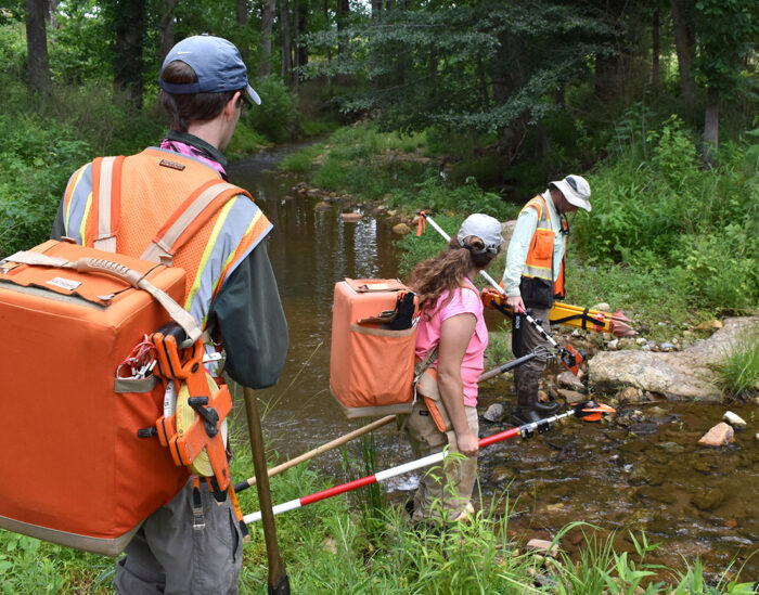 Wildlands Engineering | Ecosystem Restoration