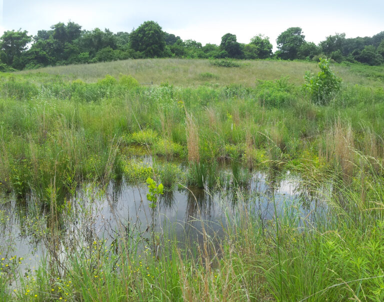 Wildlands Engineering | Ecosystem Restoration